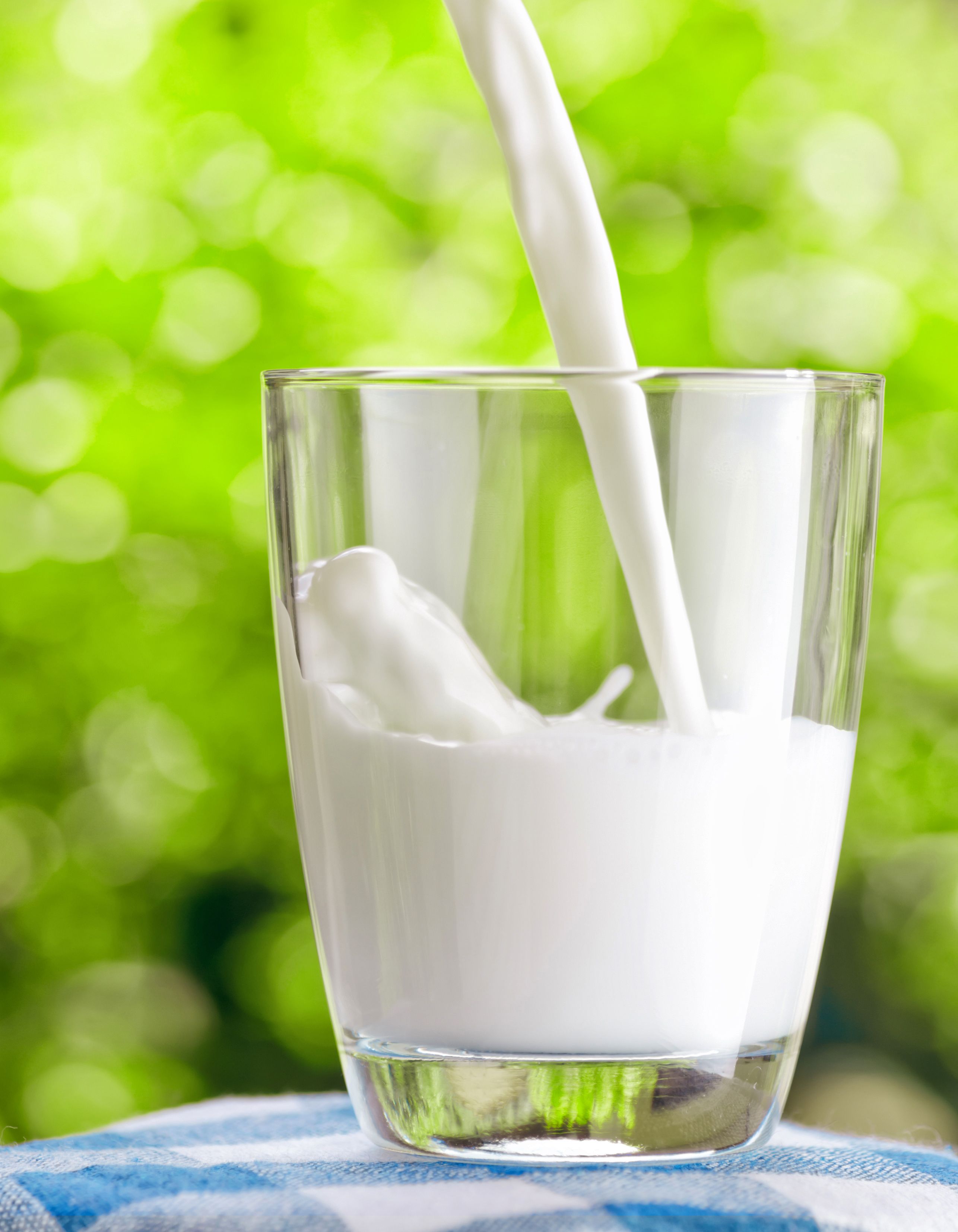 Nutrition: le lait biologique vs traditionnel | Savoir laitier